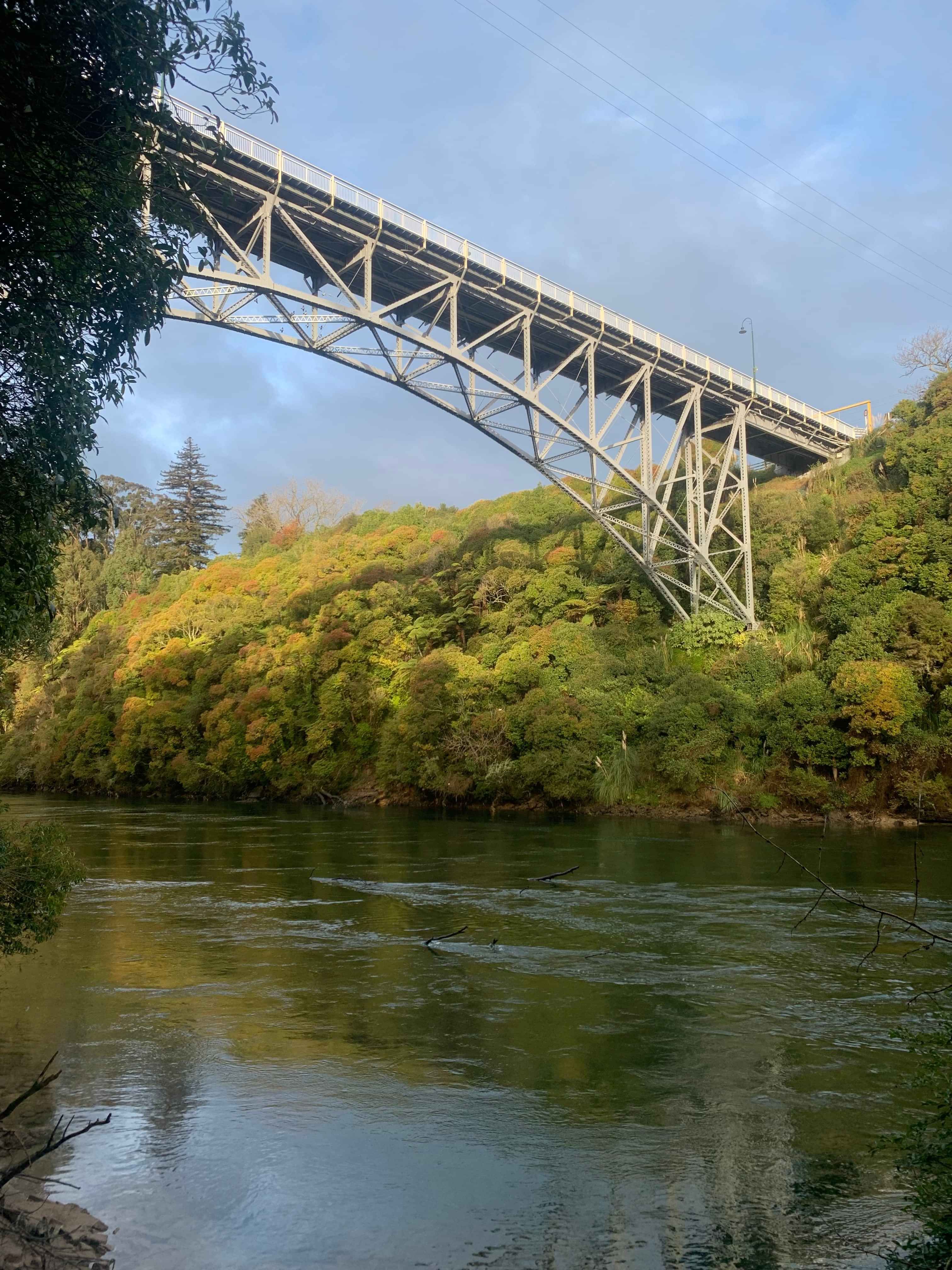 Mike Pettit for Waipā Mayor | Strong, Local Leadership | Mike Pettit